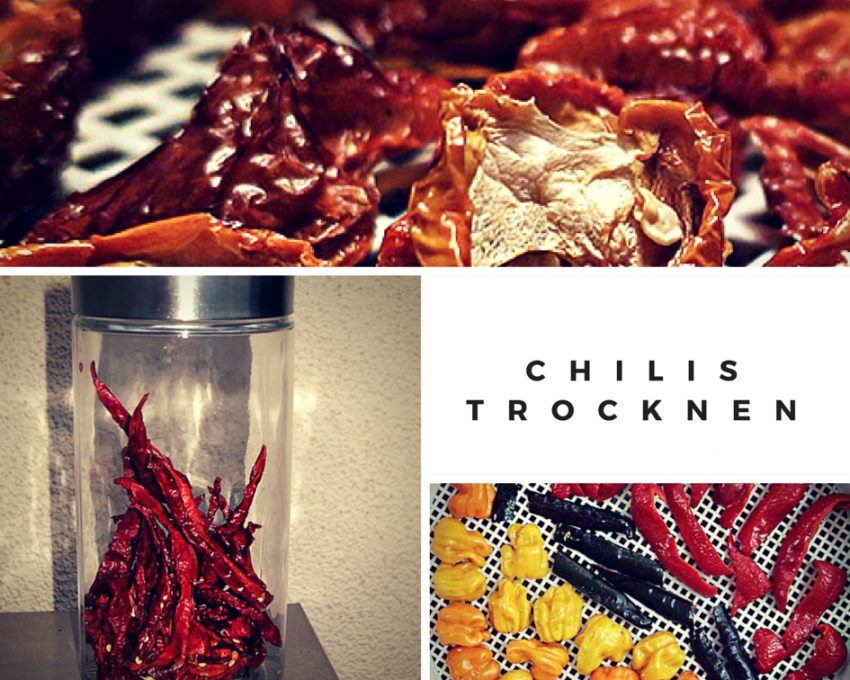 Chilis Trocknen In Der Wohnung