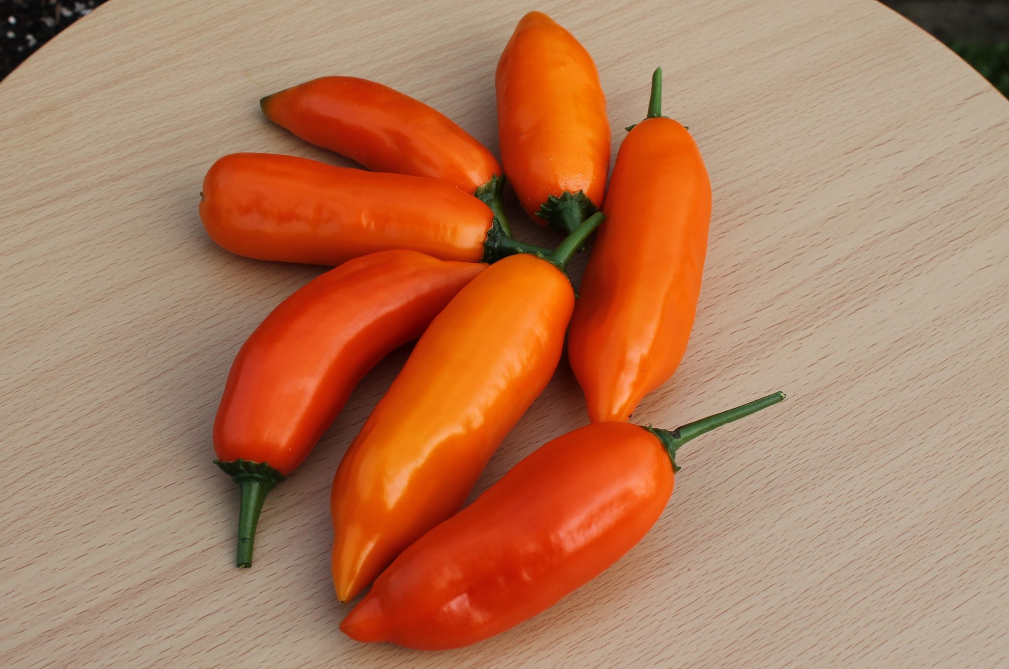 Chilisorten aus Peru | Pepperworld